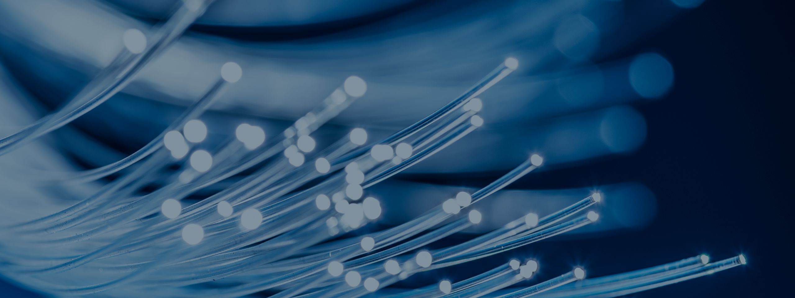 Innofiber - CS Brand Group